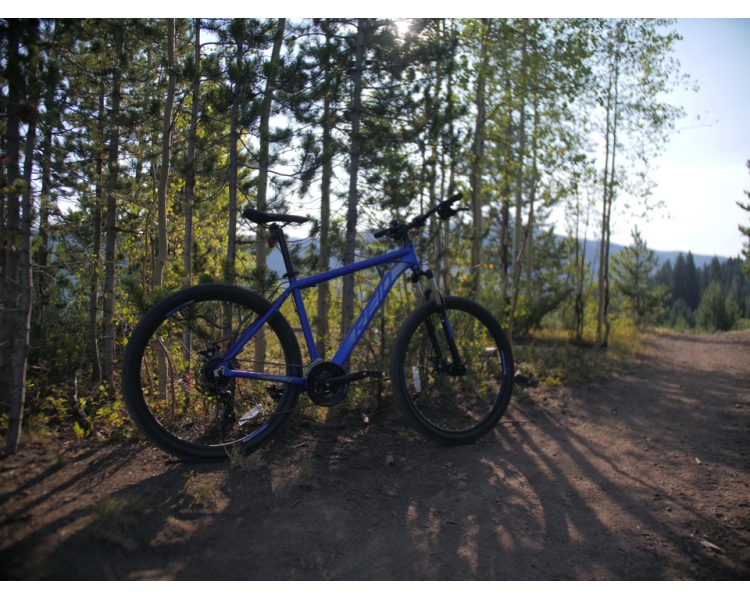 24-speed bike for adolescents - Reid MTB pro disc 27.5"| Lor